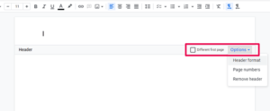 How to Add and Stylize Header or Footer in Google Docs